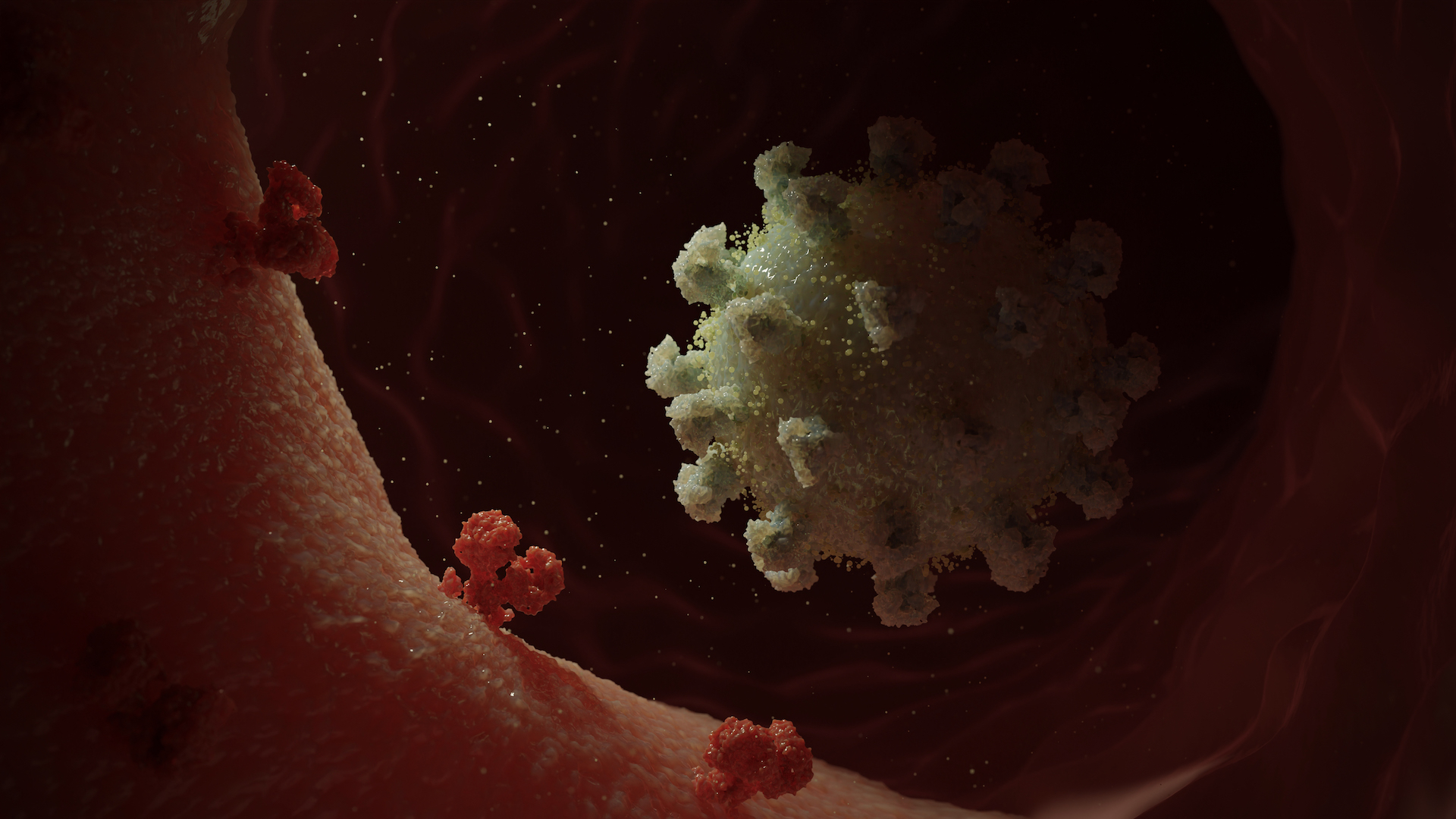 life[science]graphics - graphic design for biotech & life sciences