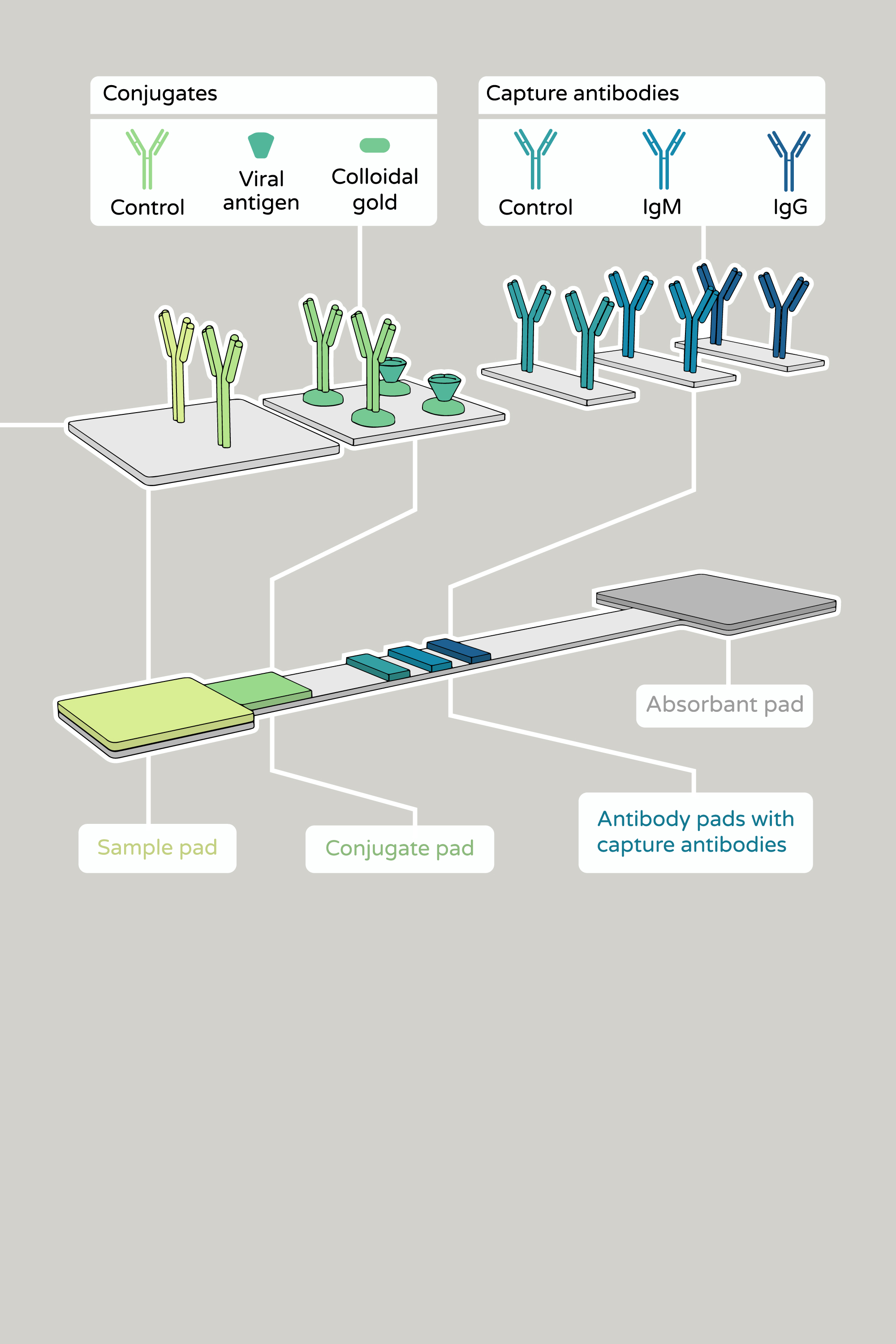 life[science]graphics - graphic design for biotech & life sciences