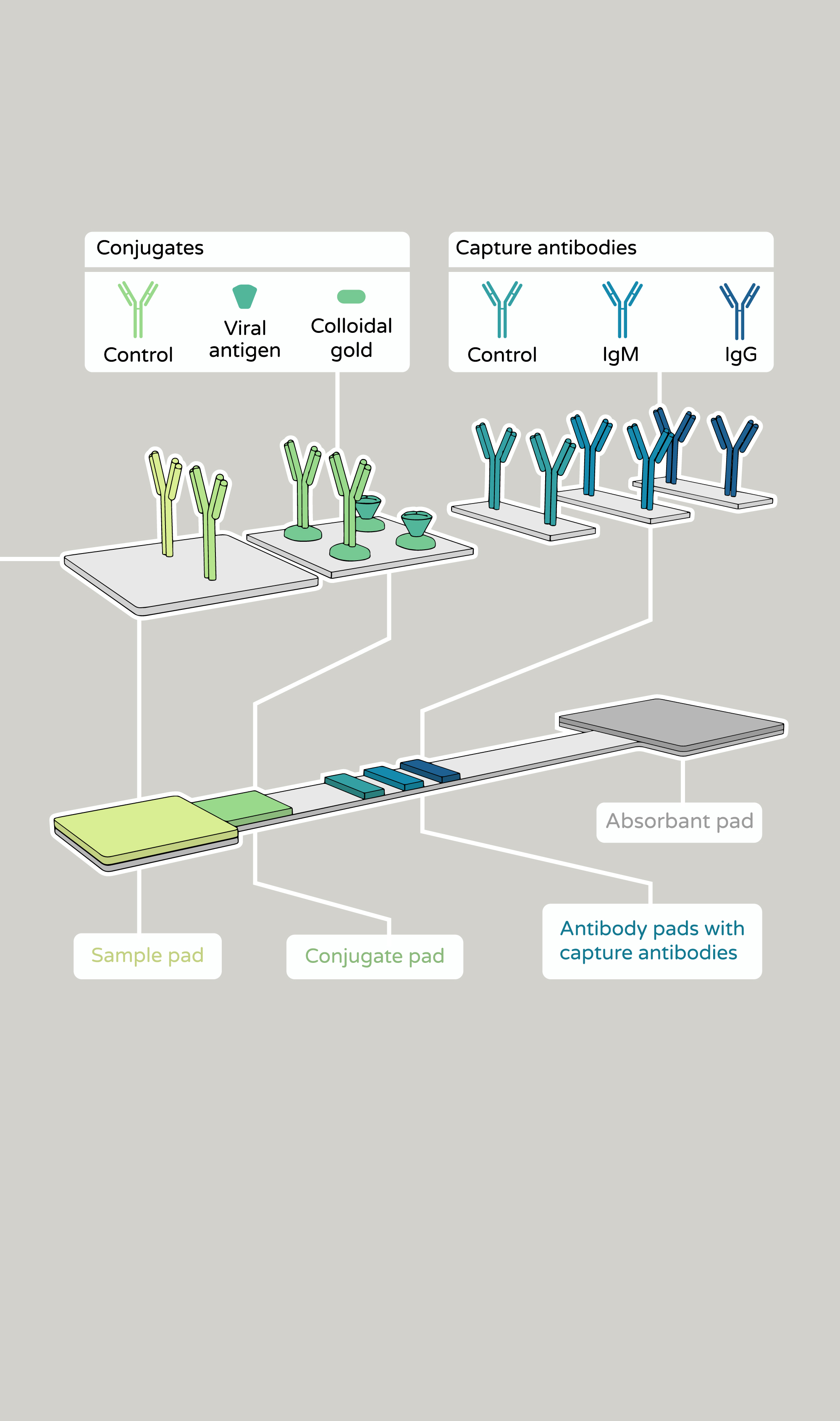 life[science]graphics - graphic design for biotech & life sciences