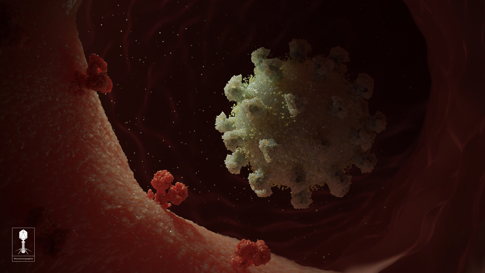 life[science]graphics - graphic design for biotech & life sciences