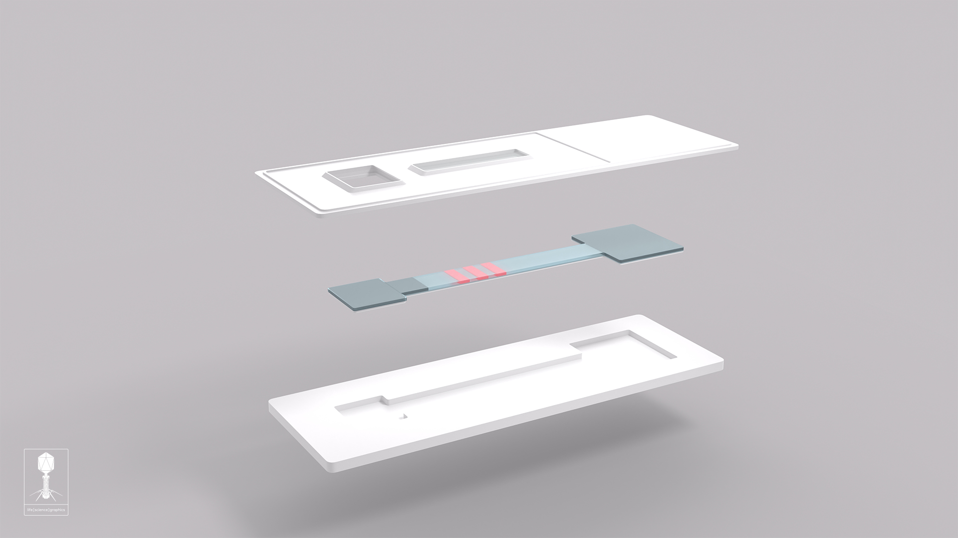 life[science]graphics - graphic design for biotech & life sciences