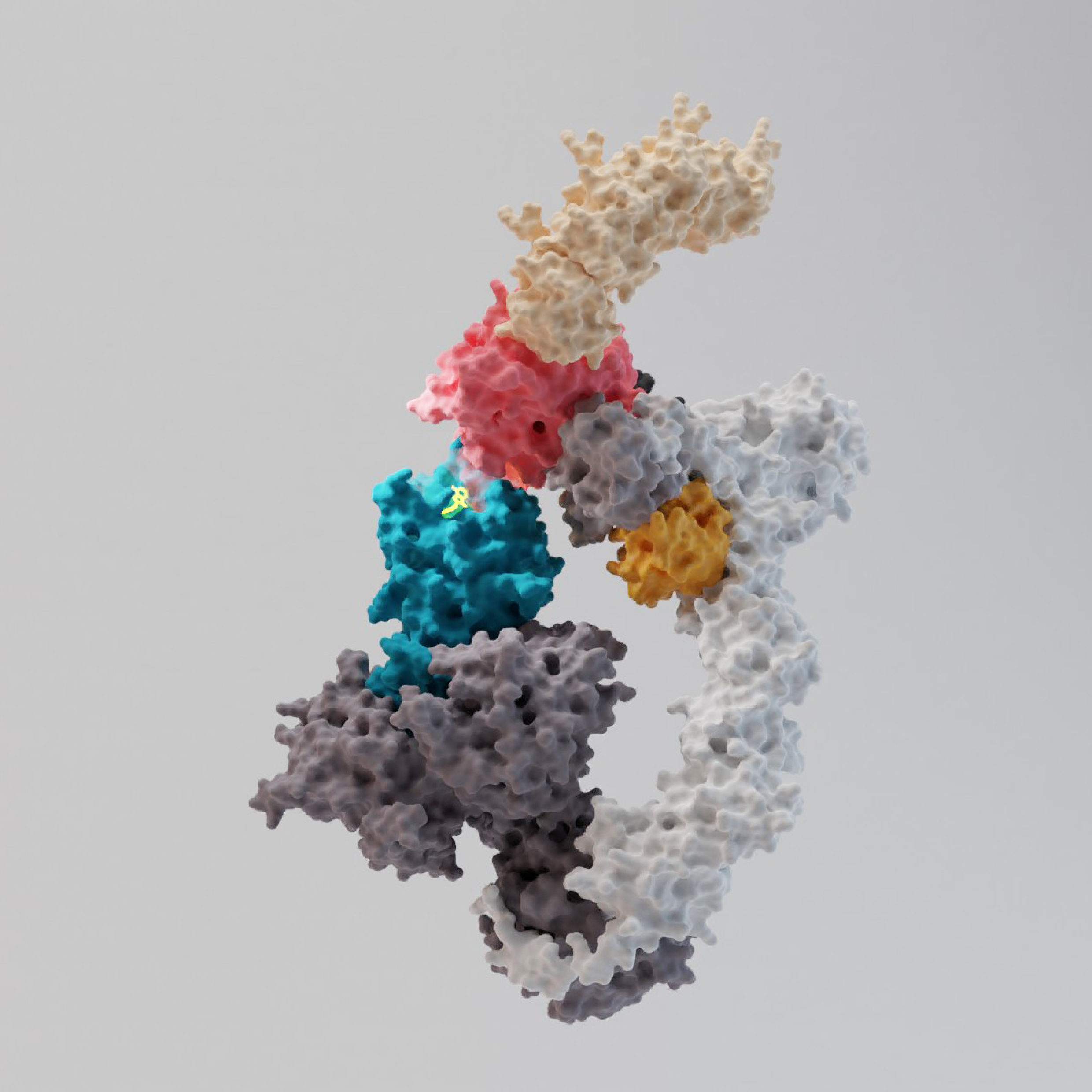 Proxygen GmbH - life[science]graphics