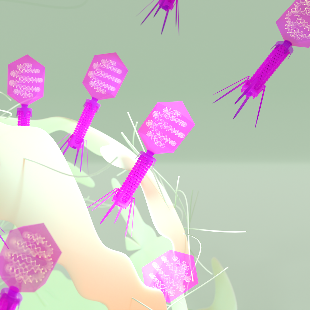 phage therapy quick facts - life[science]graphics