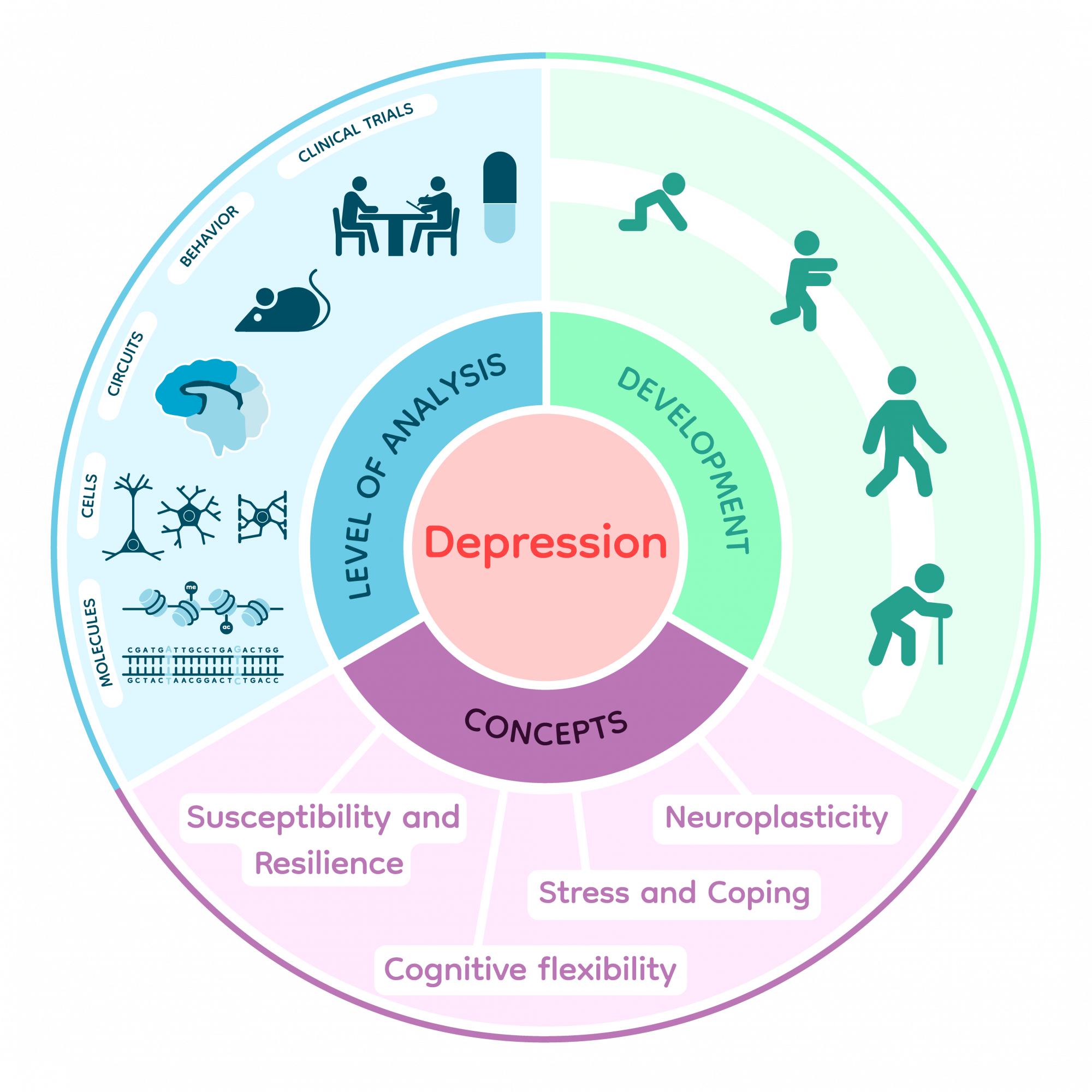 Max Planck Institute of Psychiatry - life[science]graphics